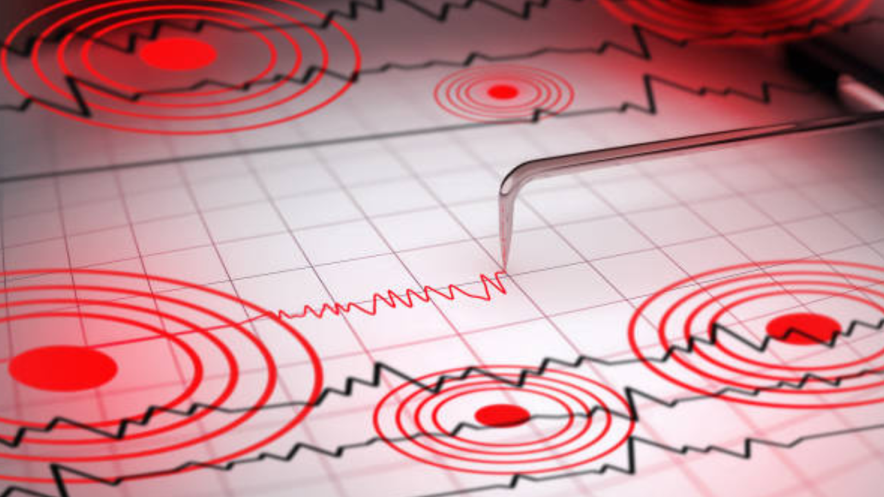 Shaking Rooms, Receding Shorelines– Russia Earthquake & Tsunami Videos ...