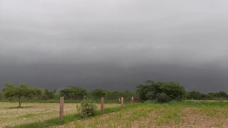 Jaipur Weather Update: Heavy To Very Heavy Rainfall Is Forecasted In ...