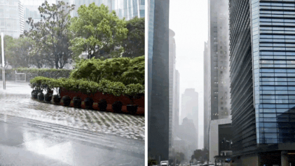 Typhoon Co-May makes landfall in China: Orange alert issued in Shanghai ...