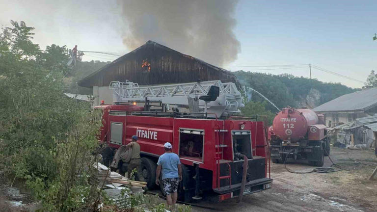 Eğirdir’de trafodaki tellere temas eden sincap, 1 depo ile 2 dönümlük ...