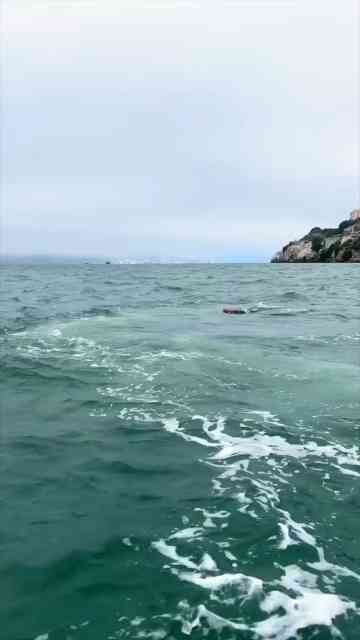 Escaping Alcatraz! Open Water Swim in San Francisco Bay