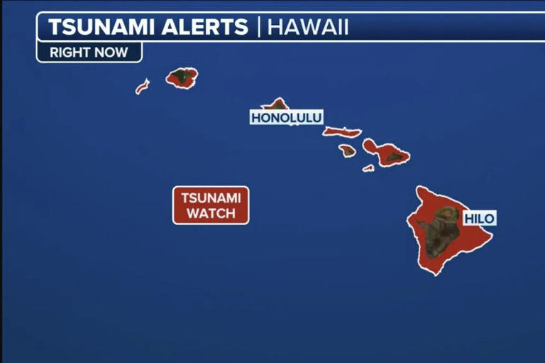 Hawaii tsunami triggers mass evacuations as whales wash ashore after 8. ...