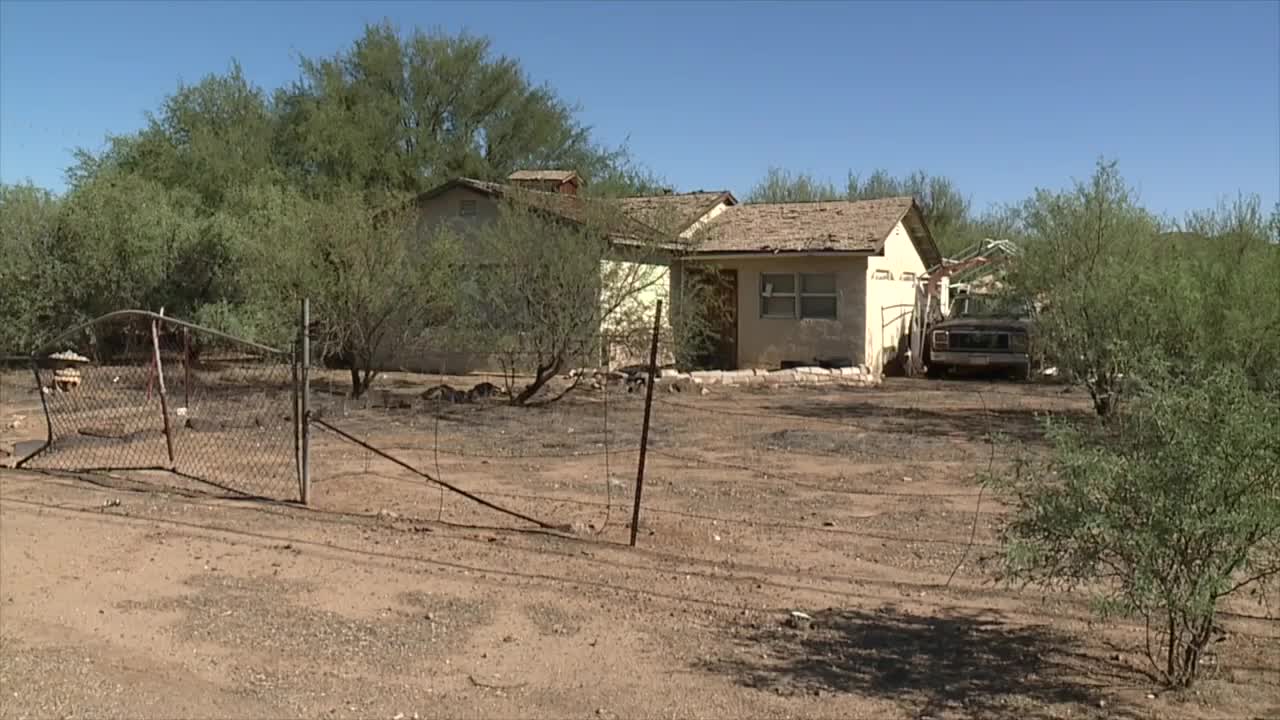 Maricopa County officials react to north Phoenix bee problem