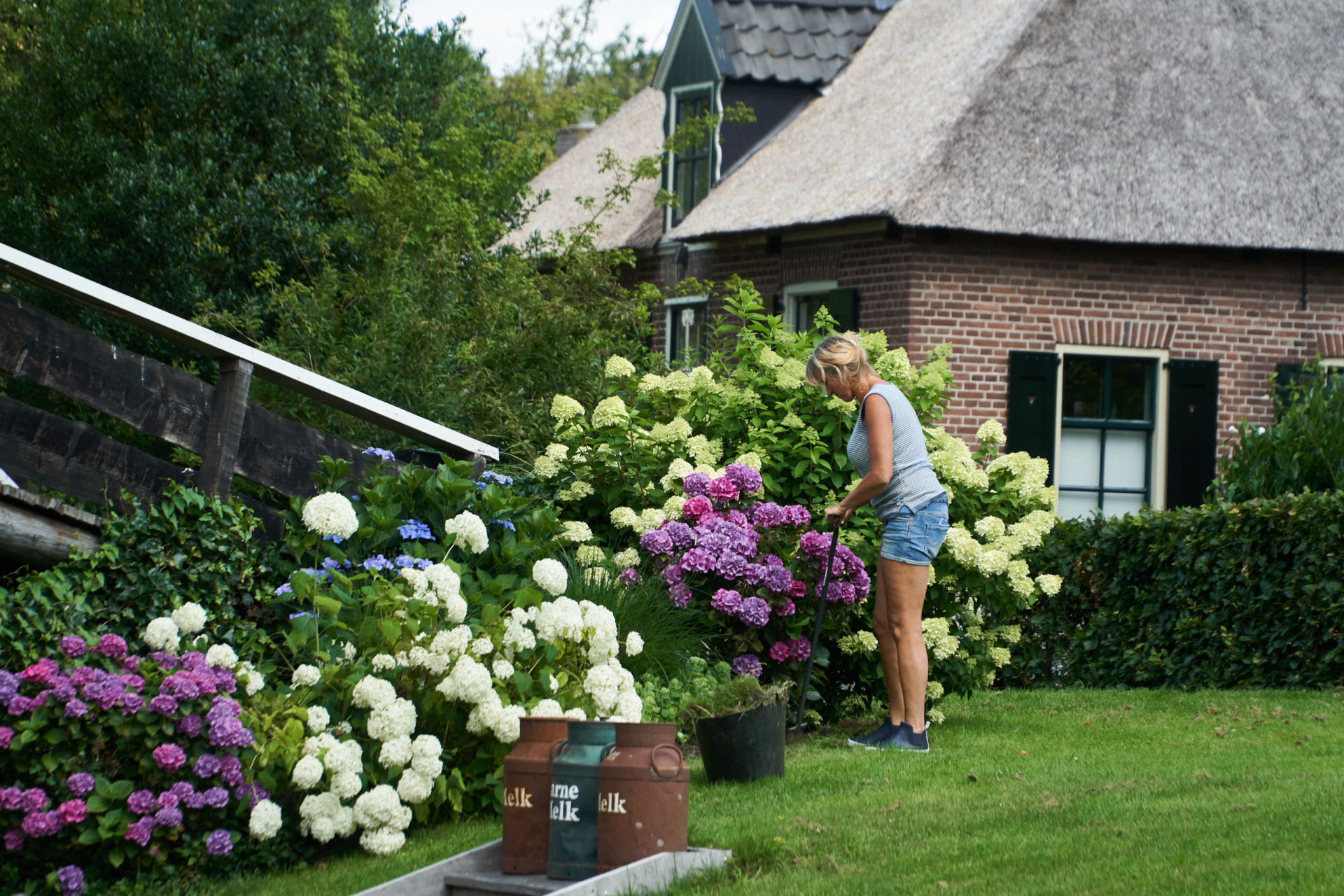 Things you should never leave in your yard