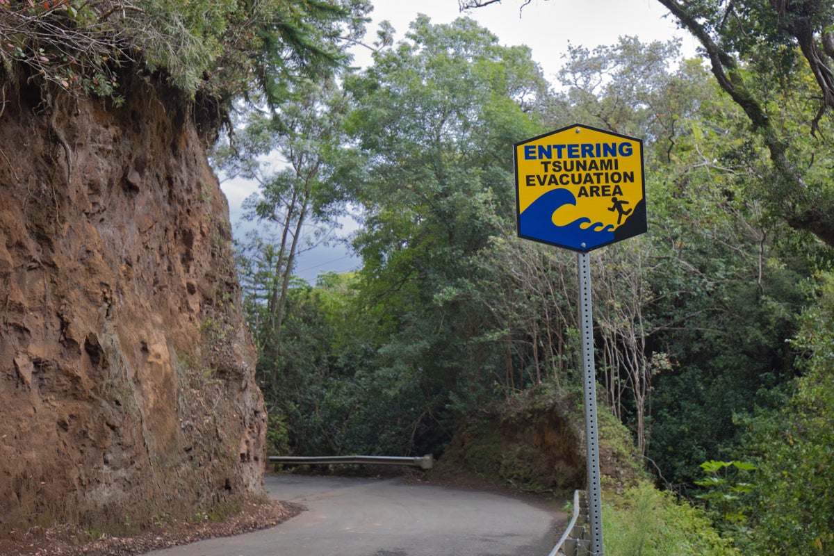 Tsunami activity expected in NZ after Russia quake upgraded to 8.8