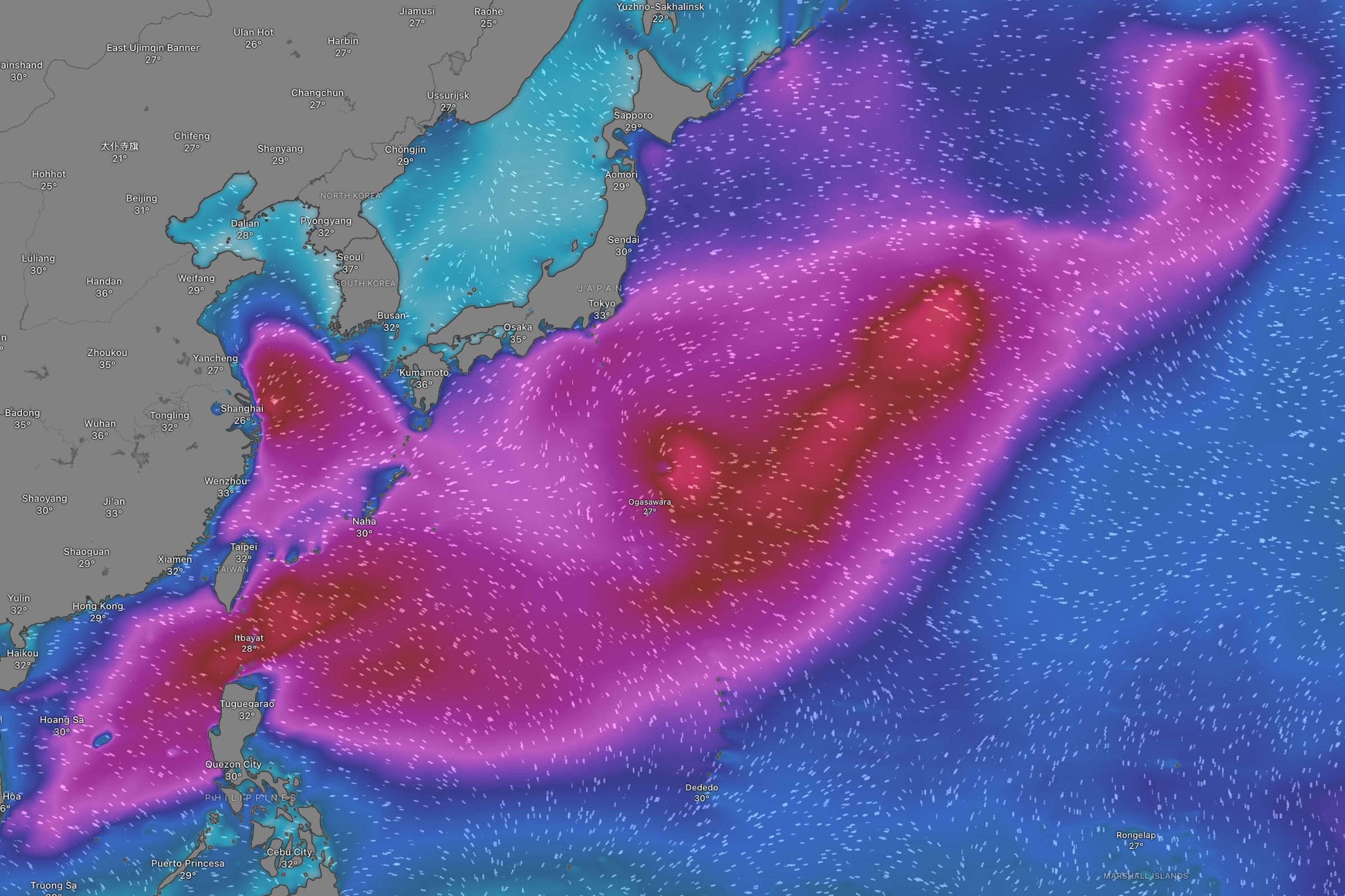 Tsunami live tracker as waves hit California, Hawaii
