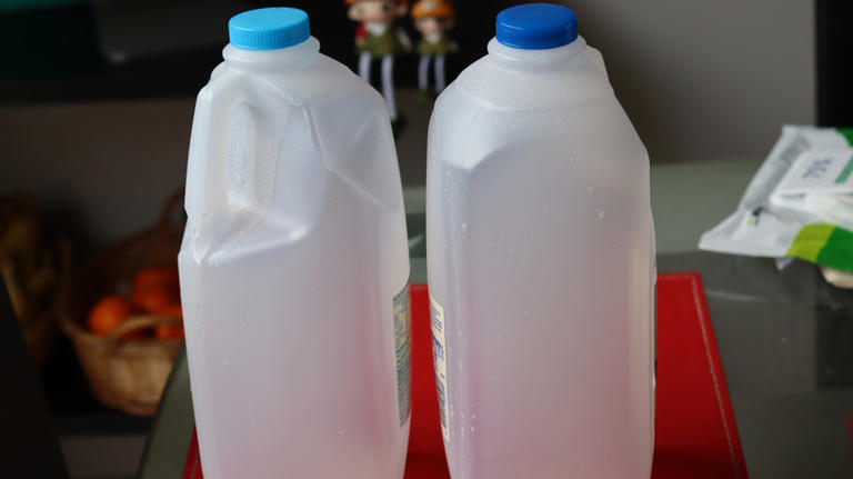 Don't Throw Out Old Milk Jugs: 14 Genius Hacks To Reuse Them In Your Garden