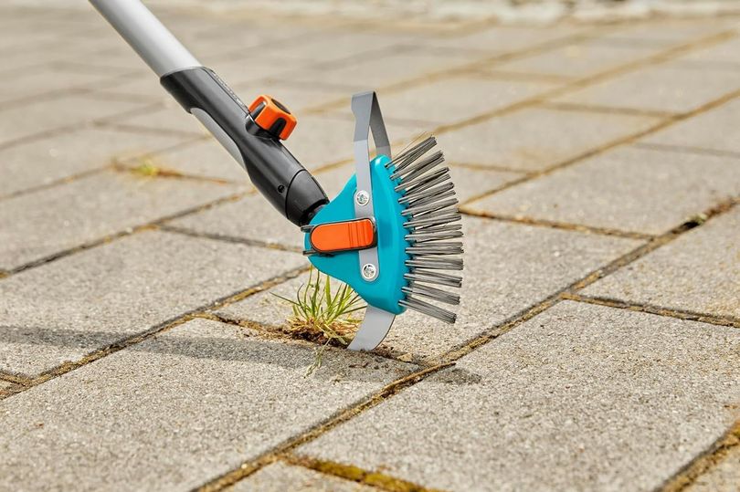 Amazon reduces garden tool that kills weeds without 'sore knees and ...