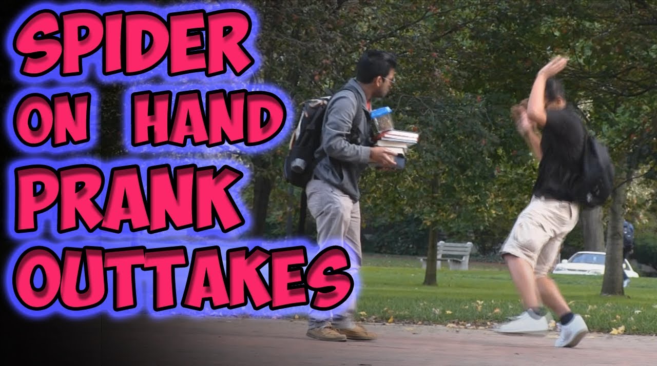 Funny reactions captured as a spider moves on a hand