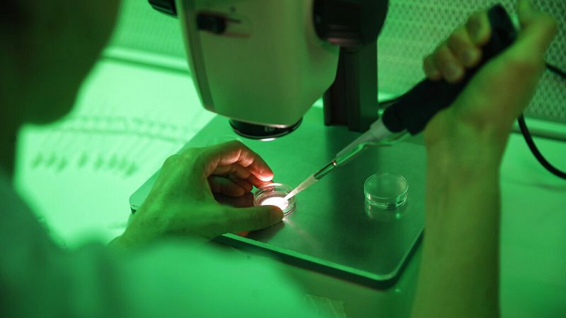 Experimental treatment restores sight to man with genetic eye disorder ...