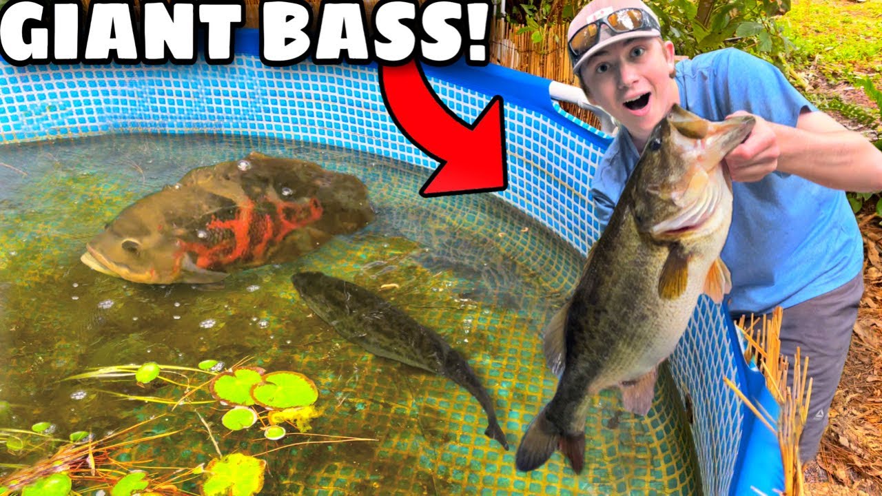CATCHING *GIANT* BASS For My BACKYARD POND!!