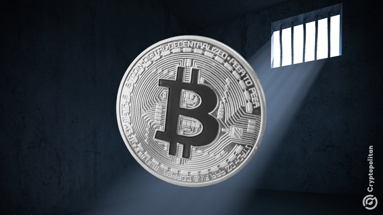 AML Bitcoin founder lands jail term for $10M crypto fraud after FBI ...