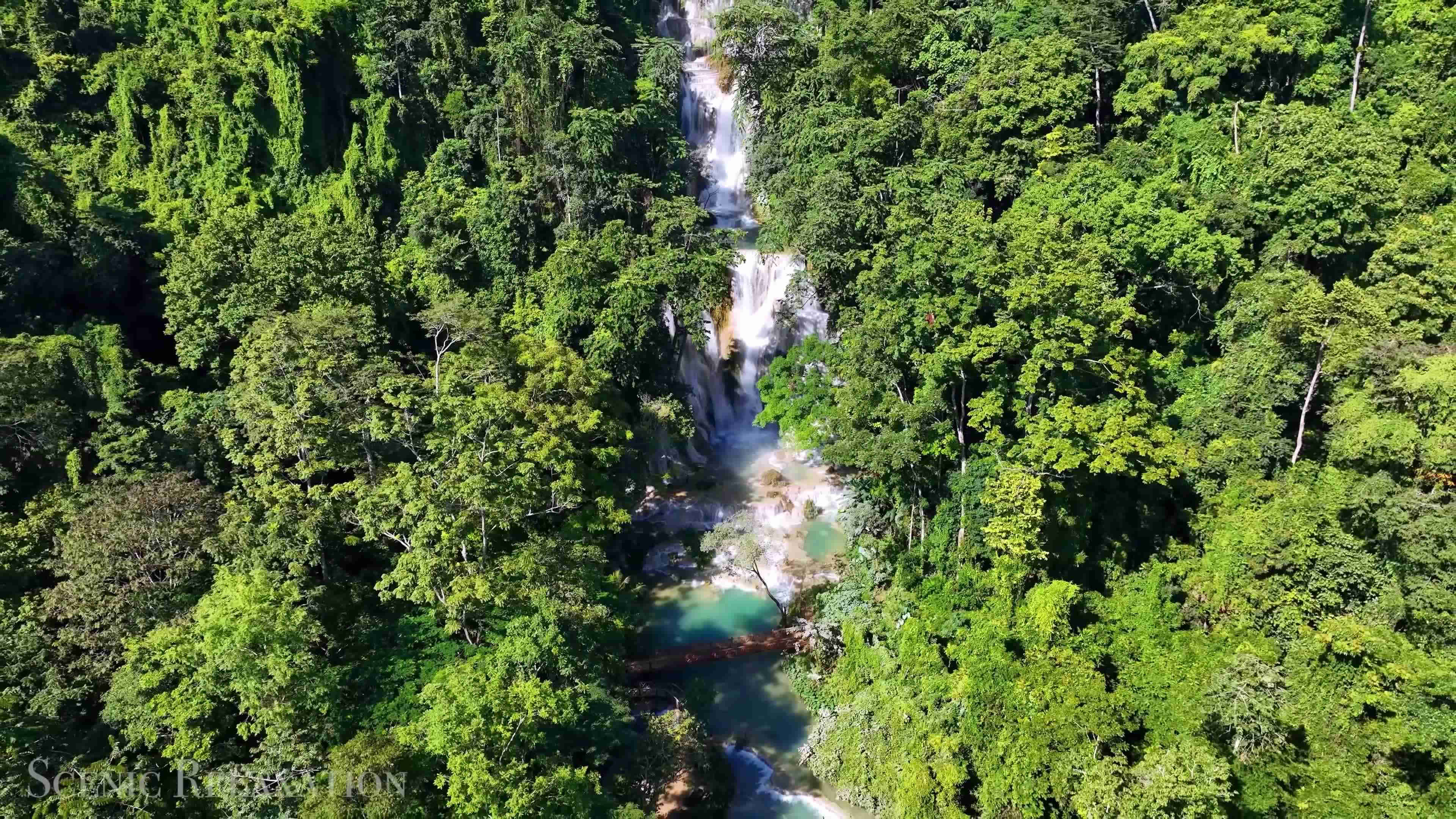 Faune et cascades du Laos en 4K Faune et cascades du Laos en 4K