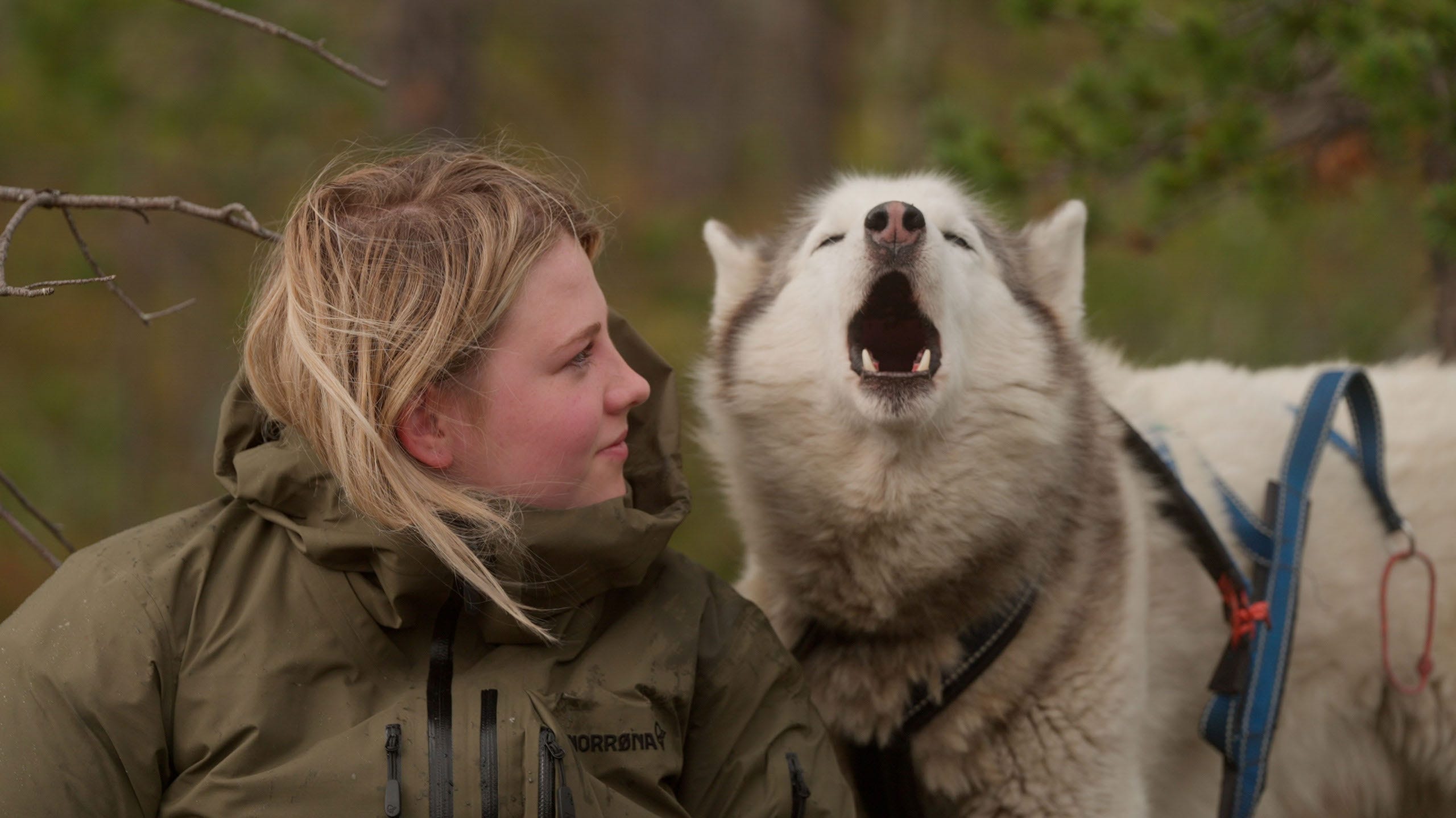 Sled dogs help Gen Z teens cope with growing up in documentary from 'Detropia' filmmakers