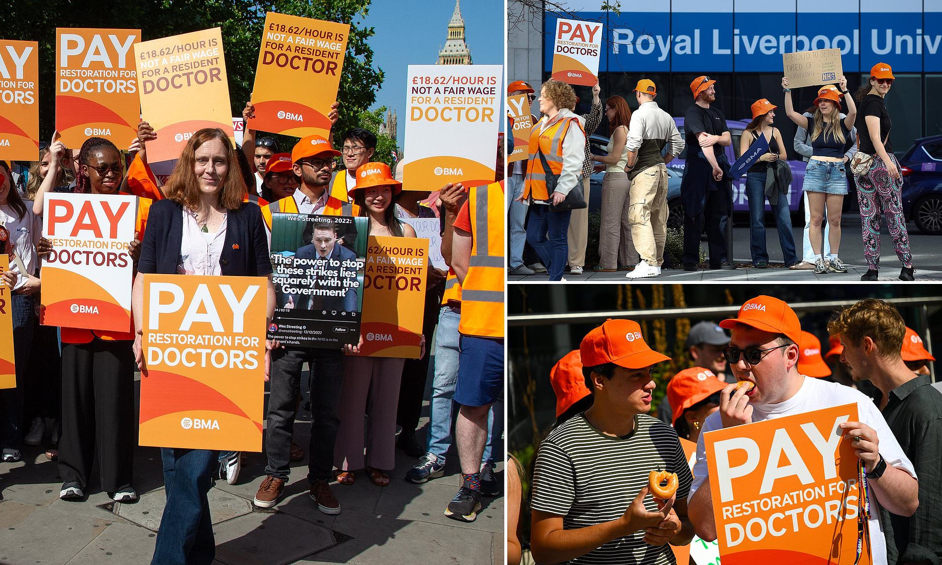 Medical regulator urged to rule strikes are 'incompatible' with doctors ...