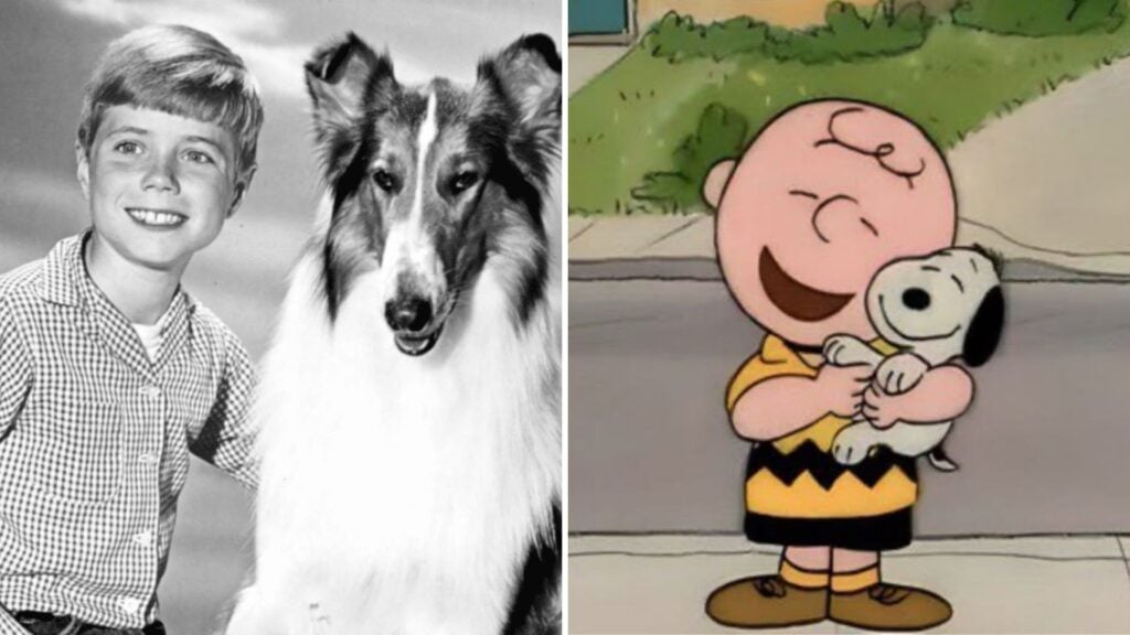 28 TV Pets That Were Part of Every Boomer’s Childhood