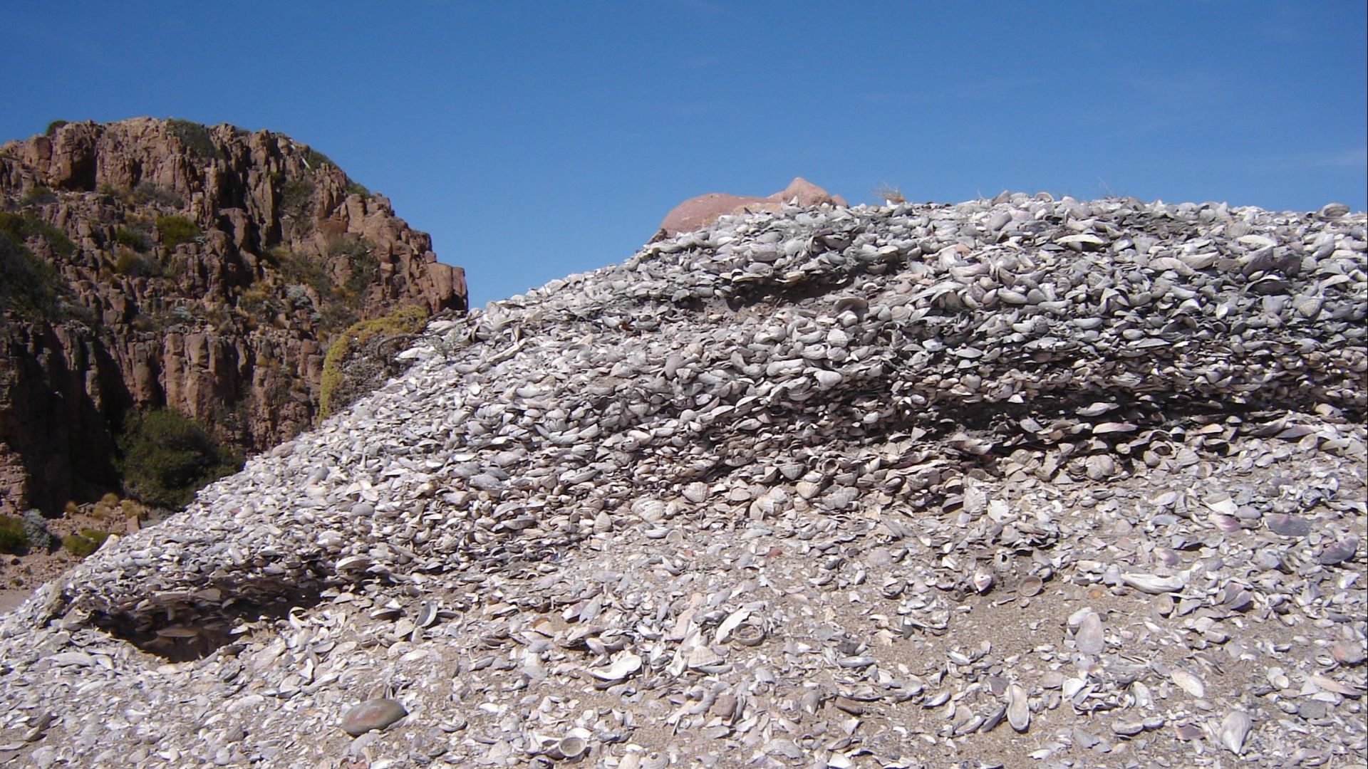 Vast shell mounds uncovered in coastal California reveal early fishing ...