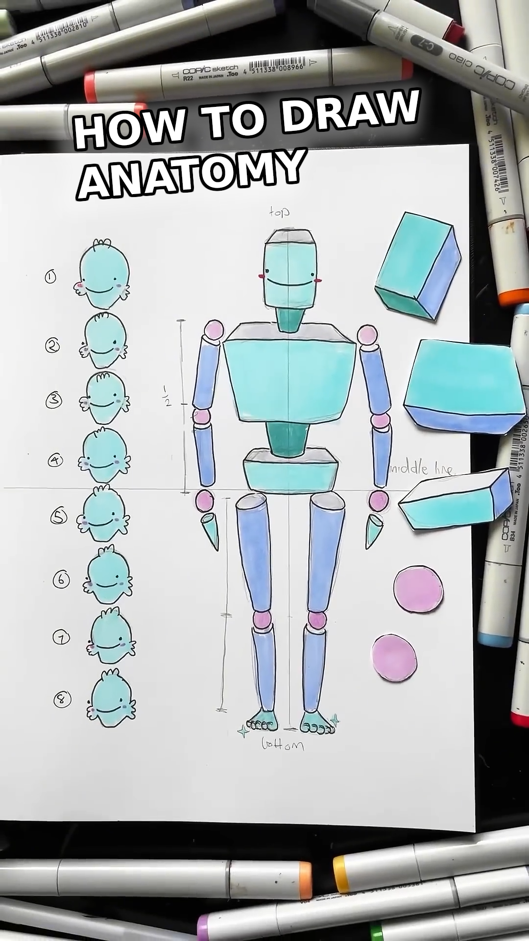 How to Draw Basic Anatomy Using Simple Shapes