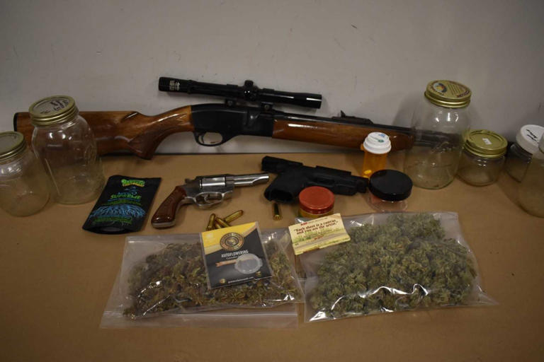Arrest made after 26 marijuana plants found growing in Concord area