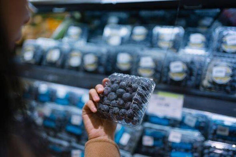 How to keep blueberries fresh for up to 5 weeks with one simple kitchen ...