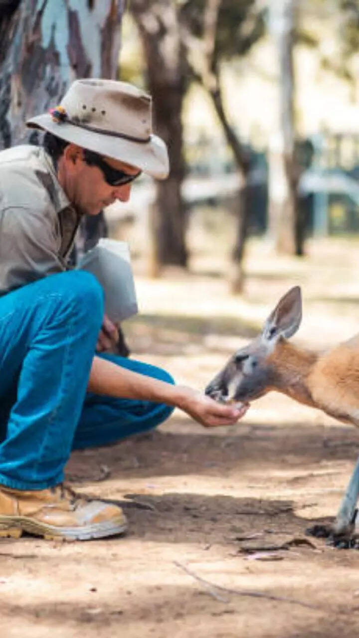 10 unique Australian animals with the strangest features!