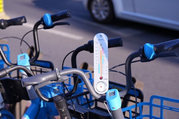 Non Sequitur by Wiley Miller