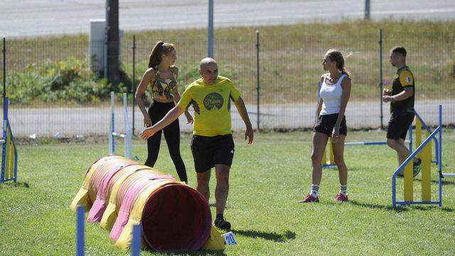 Los perros más ágiles, a pista en Silleda
