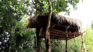 Building a Treehouse in the Forest