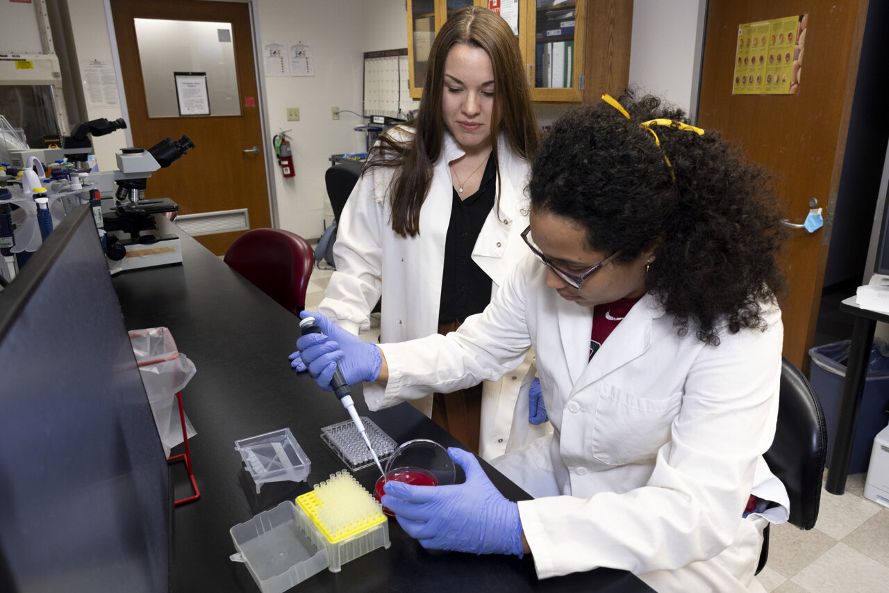 Researchers investigate probiotics as alternative to formaldehyde in ...