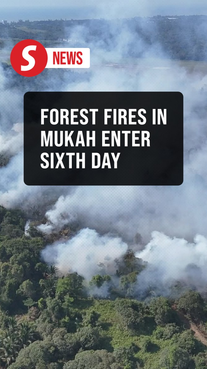 Mukah forest fires enter sixth day, raising health concerns
