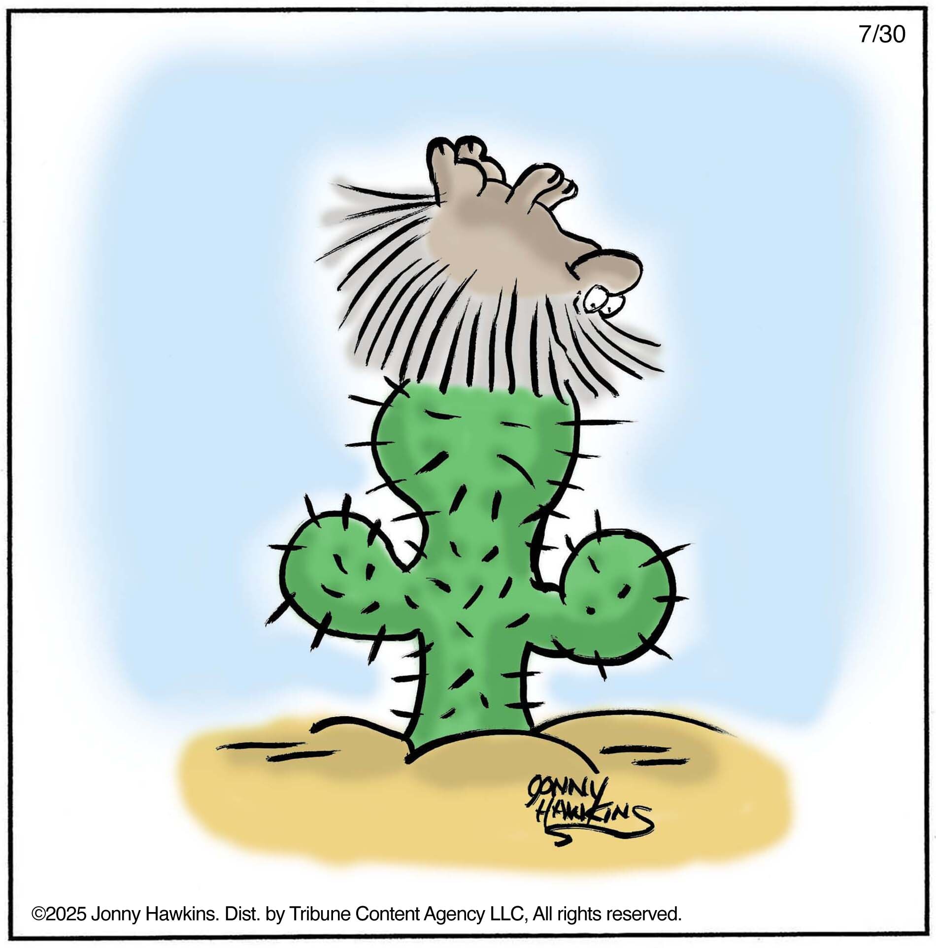 Zoolies by Jonny Hawkins