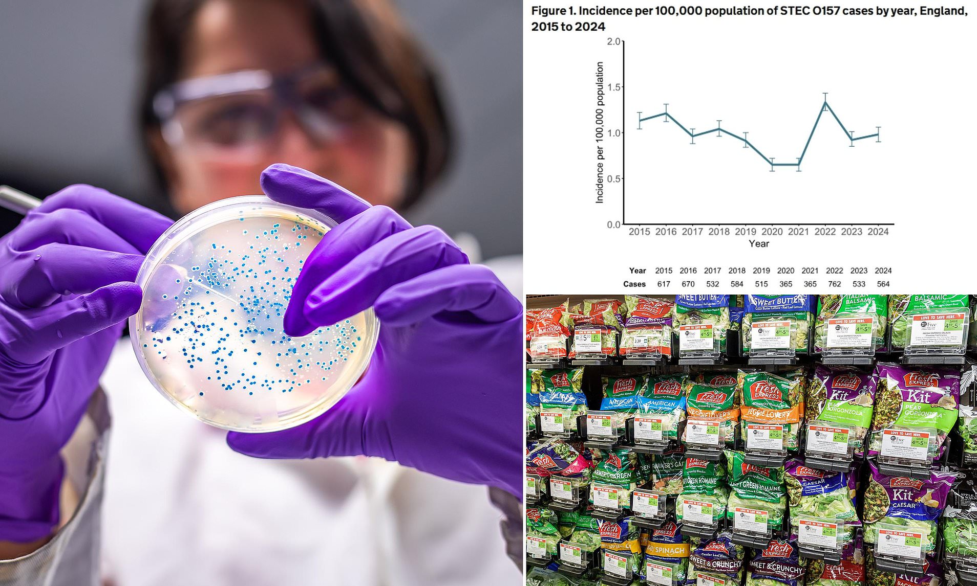 Urgent warning issued amid surge in deadly gut infection - faeces ...