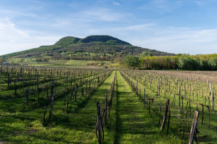 Kleindochter Henny Huisman bouwt aan succes