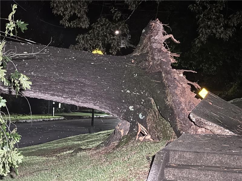 Large tree down, power outages reported across northeast Atlanta