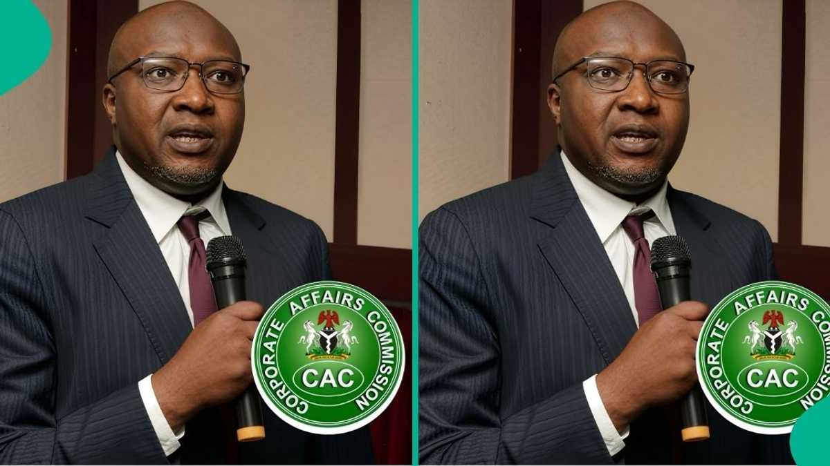 See the full list of companies to be delisted by CAC in 90 days