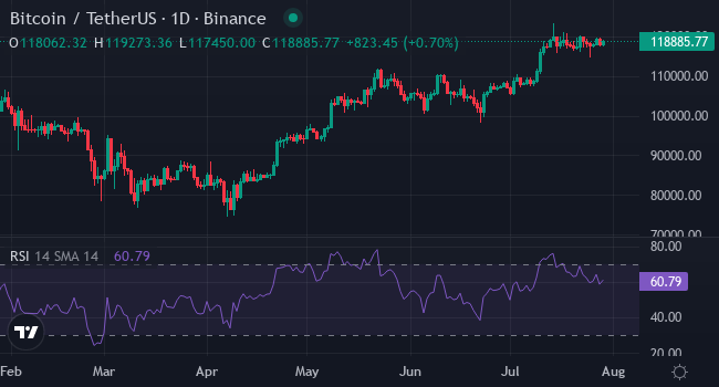When the Market Turns Red, XYZVerse Stays Green: Why This Sports Meme ...
