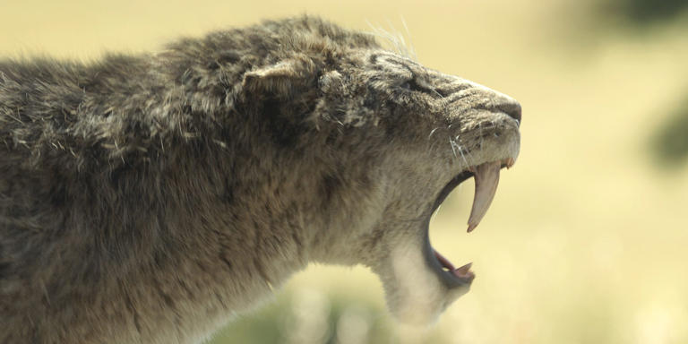 Scimitar Toothed Cats Star In Images From The Return Of Apple TV+’s ...