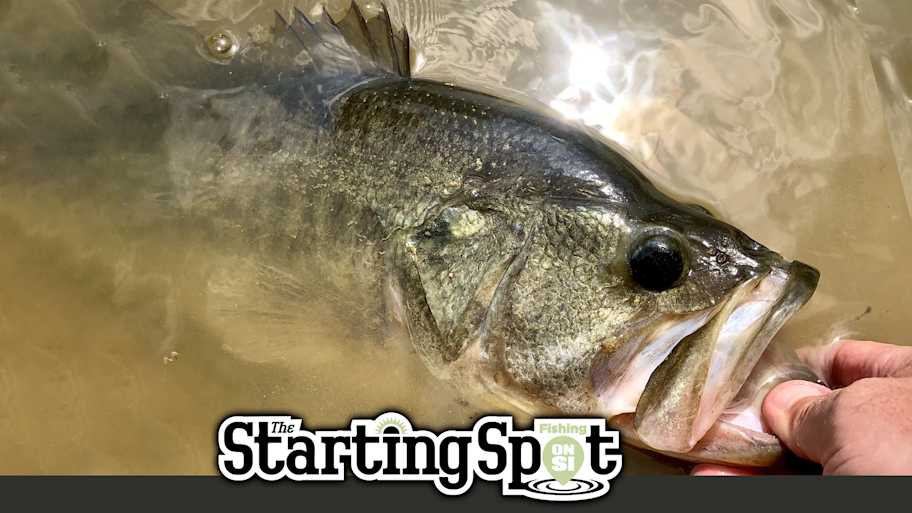 The Starting Spot: KVD’s Joy of Fishing, the Hover Rig, and a Monster ...