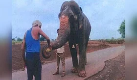Maharashtra CM Fadnavis holds meeting with Vantara zoo to bring back ...