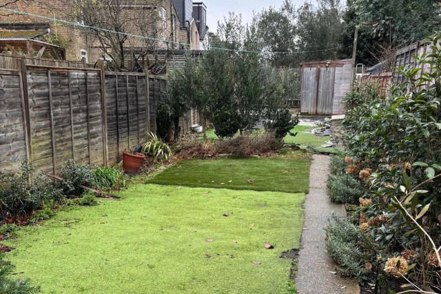 Proud homeowner shares before-and-after photos of yard transformation ...
