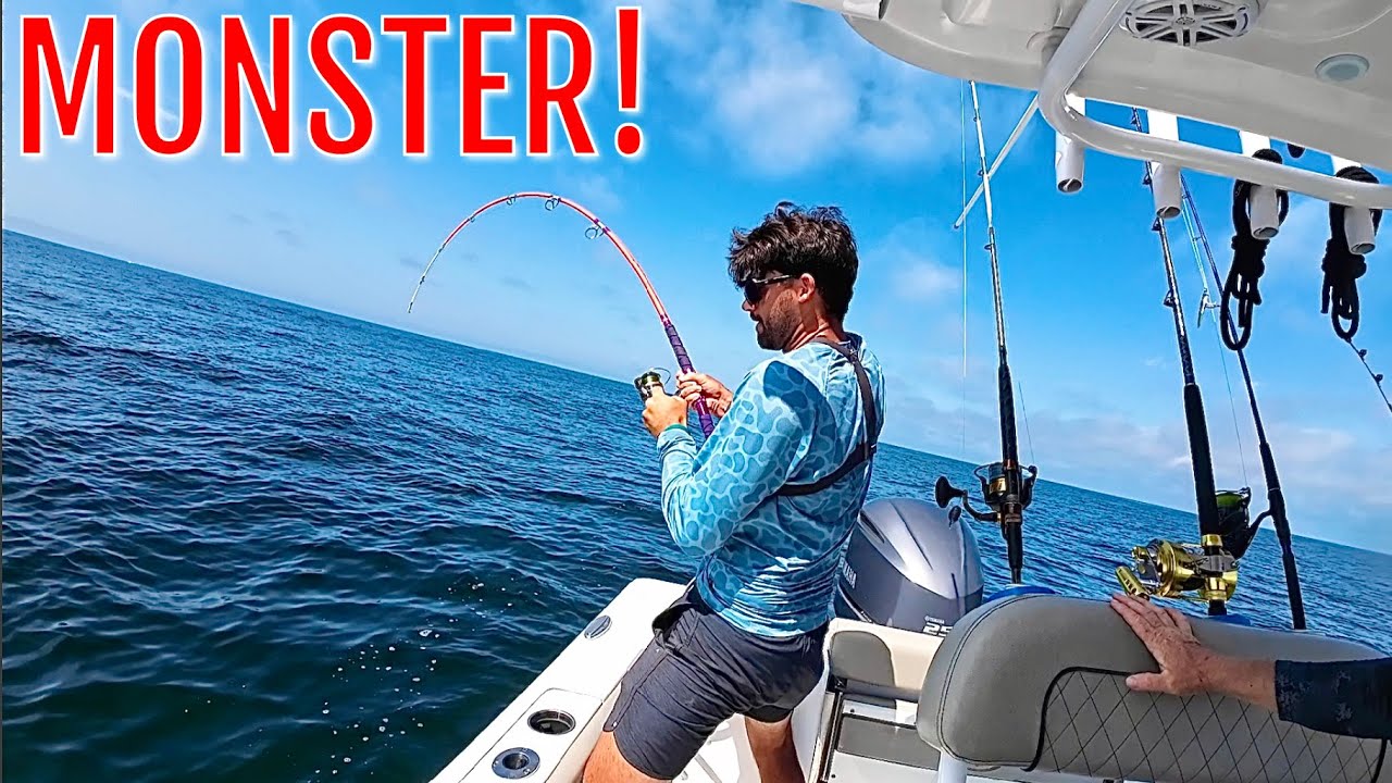 Found reef monsters destroyed by strongest ocean fish