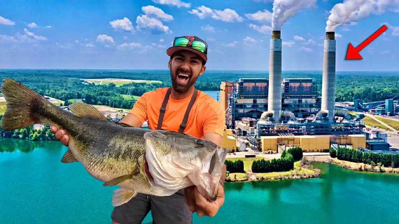 Crazy surprise catch hides in hot water discharge spillway