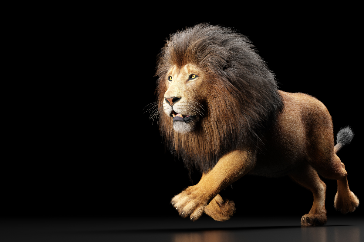Cómo comenzar a crear animaciones 2D y 3D desde tu dispositivo Android