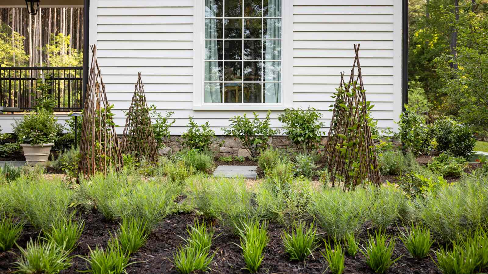 7 Plants Worth Your Patience, According To A Landscape Architect