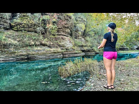 Rare Species Hiding in Remote Mountain Creek Waters