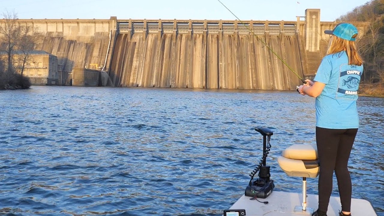 Giant spillway hides thousands of aggressive fish