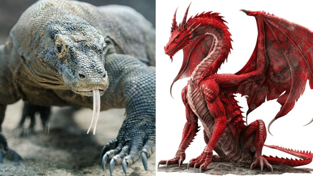 24 Real Animals That Inspired Mythical Creatures