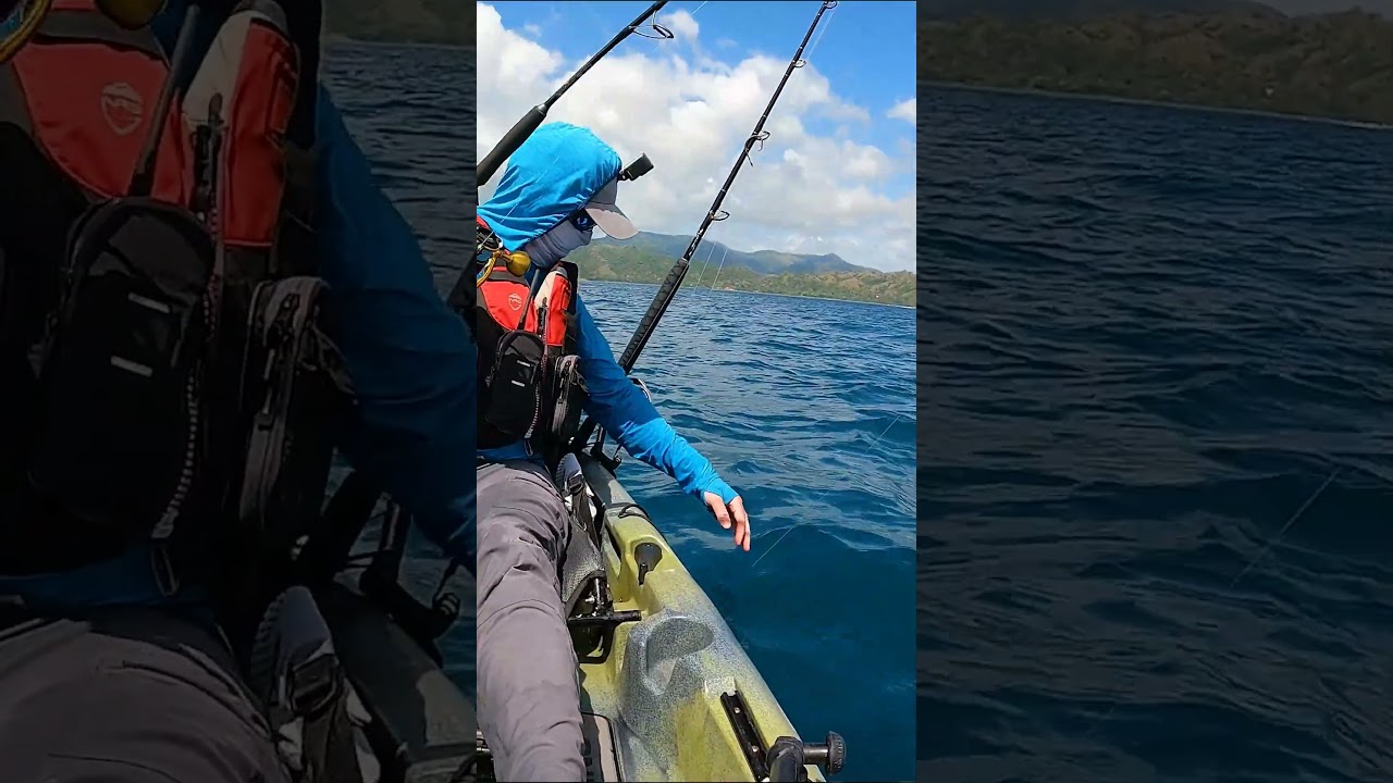 Crazy Unexpected SHARK Catch on a Jig!