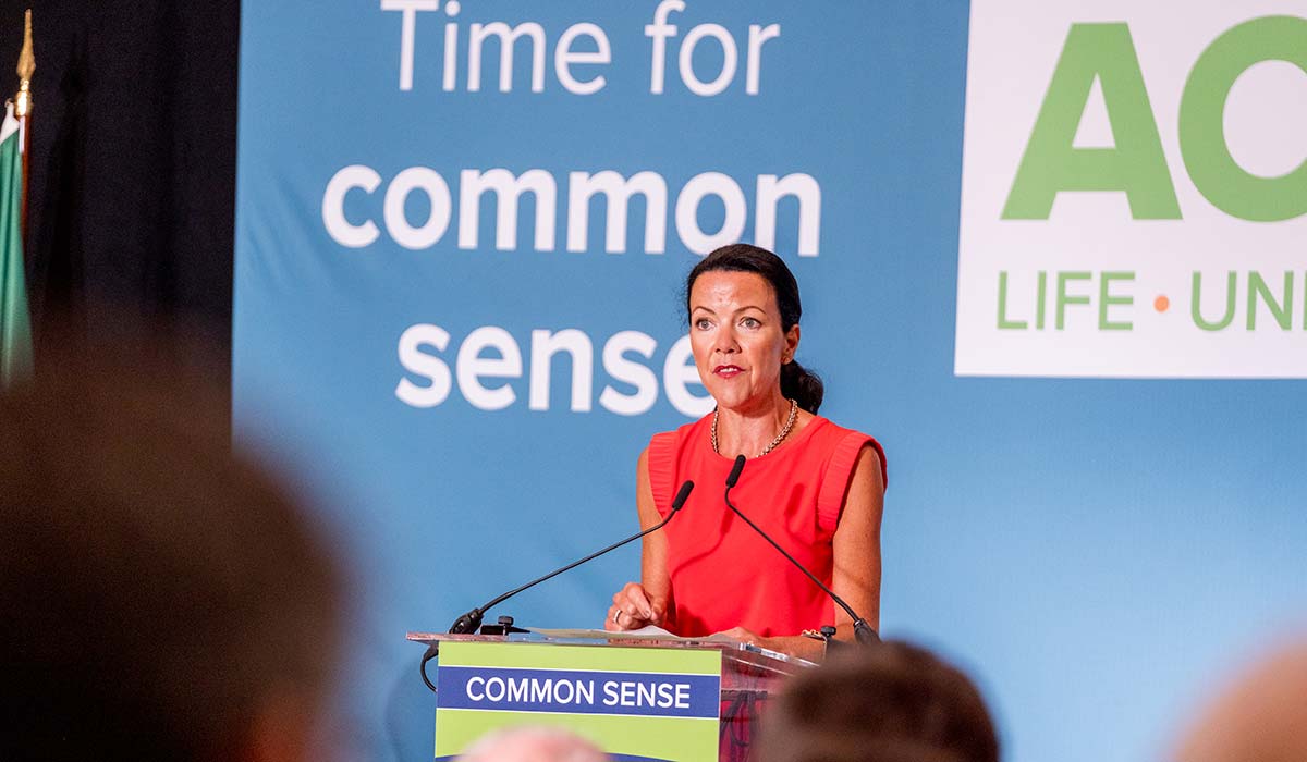 ‘Dismay’ as rural power plant gets the go-ahead in Co Meath town