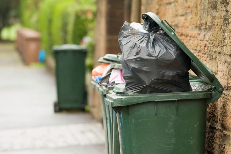 Surrey council's look for 'best solution' with new bin collection ...